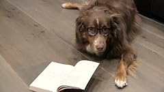 Amazon.com : Doggles ILS Medium Leopard and Smoke Lens : Pet Sunglasses ...