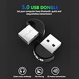 Amazon.com: PLANEX Mini USB2.0 Bluetooth 2.1 Adapter Dongle Class2 EDR2.1 for PC games ...