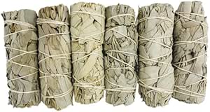 Amazon.com: Bholi Sage Plus Sage Smudge Kit Pack of 6, White Sage Smudge Stick 4-Inch Long Used ...