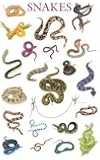 Amazon.com: North American Snakes Educational Chart Poster 24 x 36 ...