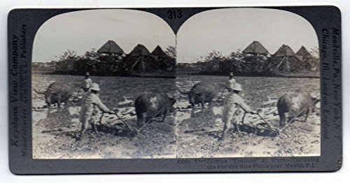 Buy Manila Philippines Harrowing Rice Fields Farming Stereoview J70530 ...