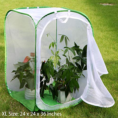 RESTCLOUD 3-Pack Large Monarch Butterfly Habitat, Giant Collapsible ...