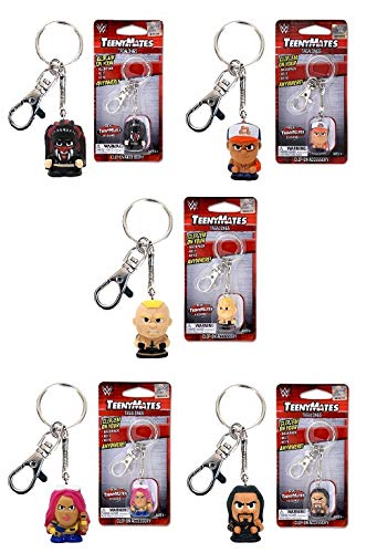 Buy WWE Tagalong Keychain Veriety Pack No 4 Current Stars- Finn Balor ...