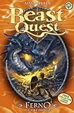 Beast Quest #1: Ferno the Fire Dragon: Adam Blade: 9780439906517 ...