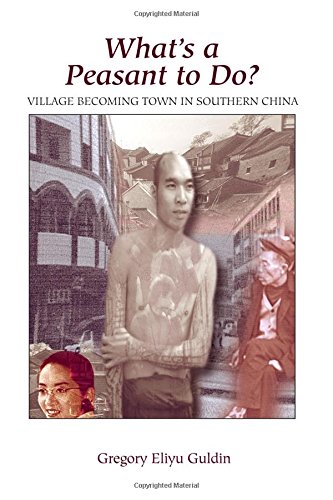Amazon.com: What's a Peasant to Do?: Village Becoming Town in Southern ...