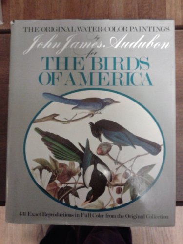 Original Water Color Paintings By John James Audubon For Birds Of ...
