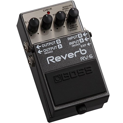 BOSS RV-6 Digital Reverb Pedal Bundle with Blucoil Slim 9V Power Supply ...