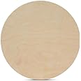 Amazon.com: Wood Circles 10 inch 1/2 inch Thick, Unfinished Birch ...