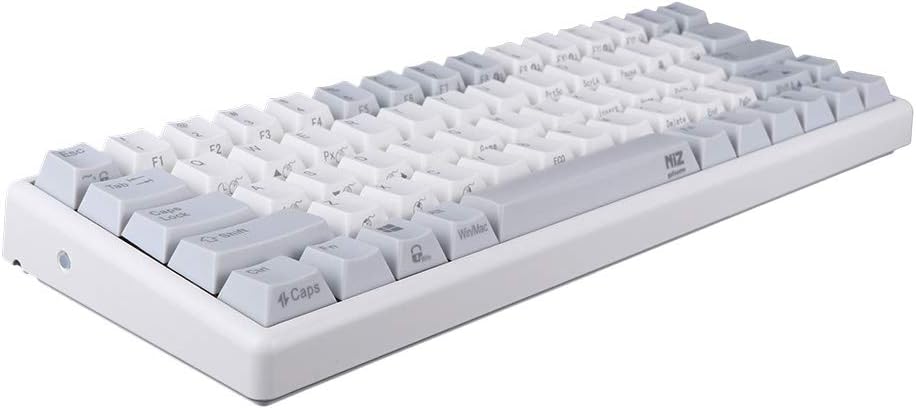 Epomaker NiZ Plum Atom66 Electro-Capacitive Keyboard for Laptop PC Gamers – BigaMart