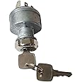 Amazon.com: Ignition Switch D134737 L61053 A77312 282775A1 Ignition ...