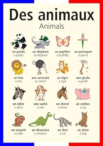 A3 French poster teaching aid / classroom resources - Animals/Des ...