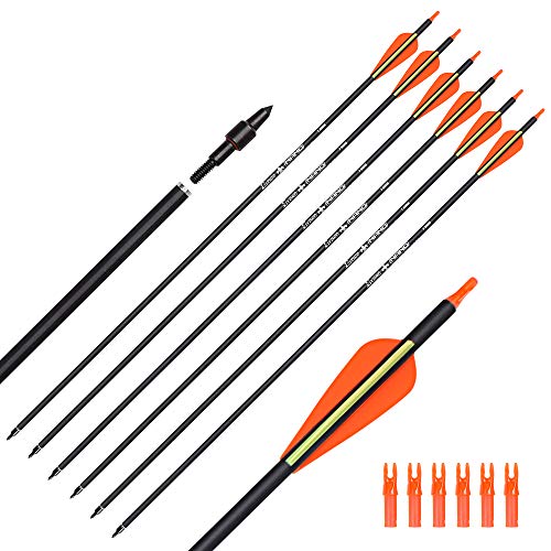 Carbon Arrow Hunting Arrows with 100 Grain Tip and Removable Tips for ...