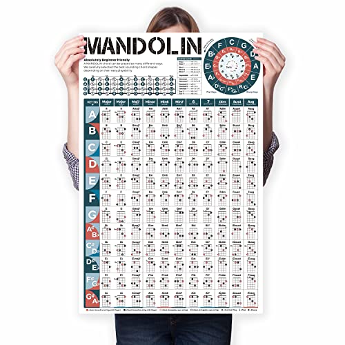 Mandolin Chord Chart Laminated Popular Chords, Mandolin Fretboard Notes ...