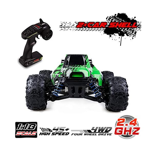 Distianert RC Truck 1/18 Scale Flexible 4WD RC Car for Kids & Adults, 2 ...