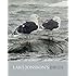 Birds and Light: Lars Jonsson: 9780691114897: Amazon.com: Books
