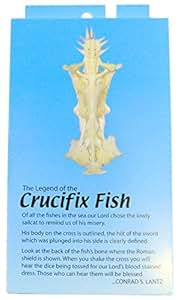 Amazon.com: Crucifix Fish Sailcat Catfish Dried Skull Bone Boxed with ...