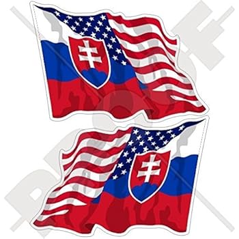 Amazon.com: USA United States of America & SLOVAKIA, American-Slovak ...