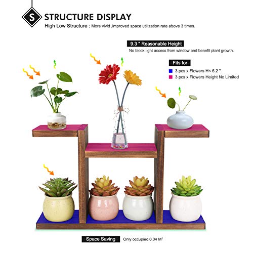 COOGOU Wood Desktop Plant Stand Indoor - Windowsill Plant Shelf Small ...