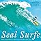 Seal Surfer: Amazon.co.uk: Michael Foreman: Books