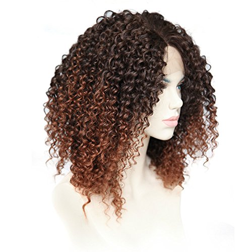 CBWIGS Fiber Hair Afro Kinky Curly Synthetic Lace Front Wigs Two Tone Ombre Brown Long Fluffy ...
