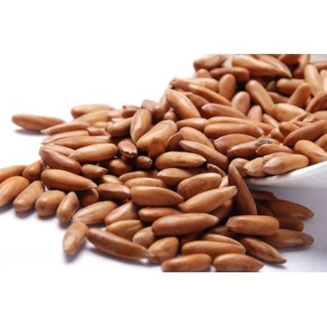 Aapkidukan Himalayn Pine Nuts (Chilgoza) - 50Gms with Soft Shell Noosa ...