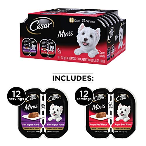 CESAR Minis Wet Dog Food Tender Loaf in Sauce Variety Pack, Filet ...