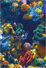 Coral Reef: Journal for Marine Biologists & Ocean Lovers Everywhere ...