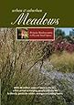 Urban and Suburban Meadows: Bringing Meadowscaping to Big and Small ...
