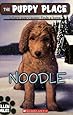Amazon.com: Noodle (The Puppy Place #11) (9780545034579): Miles, Ellen ...