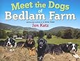 Meet the Dogs of Bedlam Farm: Katz, Jon, Katz, Jon: 8601420871281 ...