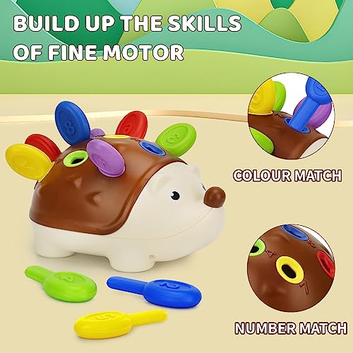 HCFJEH Toddler Montessori Sensory Educational Hedgehog Toys for 18 ...