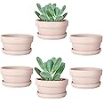 Amazon.com: vensovo 3.7 Inch Pink Terracotta Shallow Succulent Pot - 6 ...