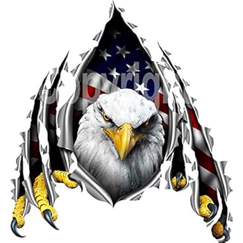 Amazon.com: American Flag Eagle Crying Large Decal 8" from the United ...