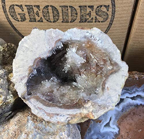 Combo Pack - 13 Large Break Open Your Own Geodes - Mexican Trancas ...