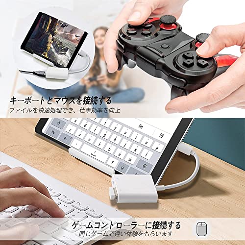 Suntrsi Usb Camera Adapter With Charging Port Portable Usb Female Otg 0887