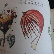 Codex Seraphinianus: Amazon.co.uk: Luigi Serafini: 8601422354331: Books