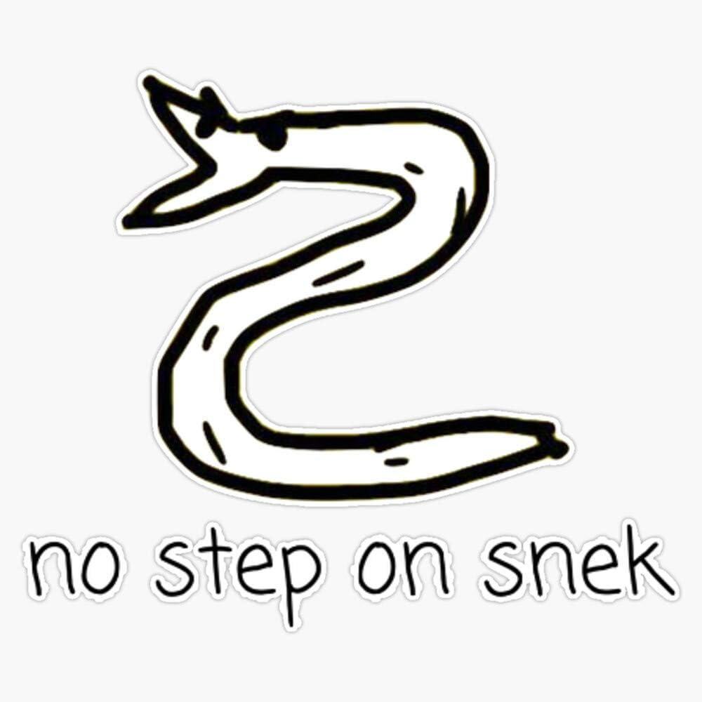 Amazon.com: No Step on Snek Decal Vinyl Bumper Sticker 5": Automotive