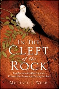 In The Cleft Of The Rock: Amazon.co.uk: Webb, Michael J: 9781602663022 ...