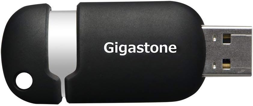 Amazon.com: Gigastone 4GB USB Flash Drive - PGN: Electronics