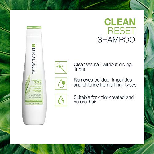 Biolage Normalizing Clean Reset Shampoo | Intense Cleansing Treatment ...