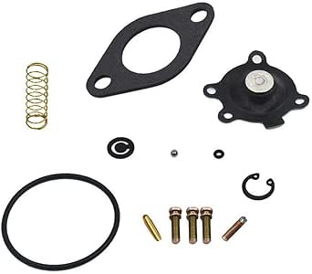 Amazon.com: Compatible with Carburetor Accelerator Pump Repair KIT FIT ...
