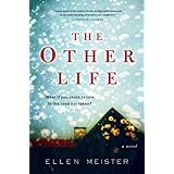 The Other Life: Meister, Ellen: 9780425243374: Amazon.com: Books
