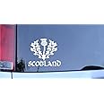 Amazon.com - Scotland Thistle Vinyl Decal Sticker - White Glasgow Football