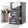 Amazon.com: Miniature File Cabinet for Business Cards with Built-in ...
