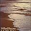 Waves and Beaches: The Dynamics of the Ocean Surface: Willard Bascom ...