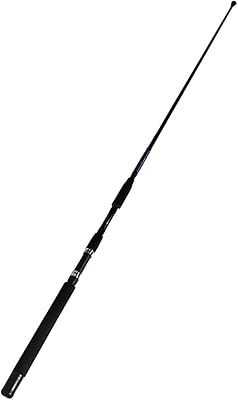 { TOP 10 } Best Striper Fishing Rods – Jun 2023 Reviews