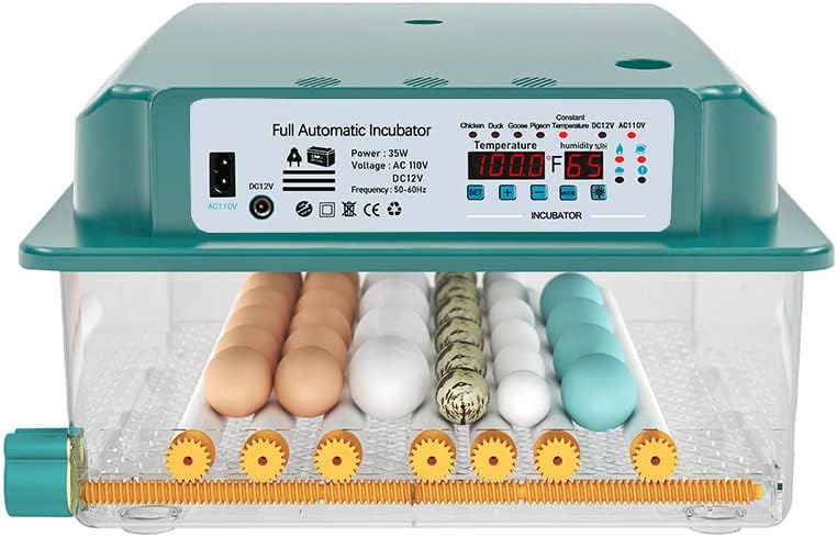 Hethya Fahrenheit 36 Eggs Incubators, Humidity Monitoring, Automatic ...