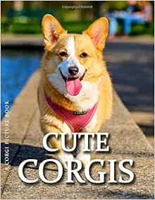 Amazon.com: Corgi Picture Book - Cute Corgis (Dog Photography Book ...