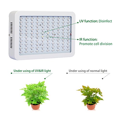 Roleadro 300w LED Grow Light /2 PCS/ Pflanze Lampe Growbox für ...