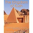 Amazon.com: The Kingdom of Kush: The History and Legacy of the Ancient ...